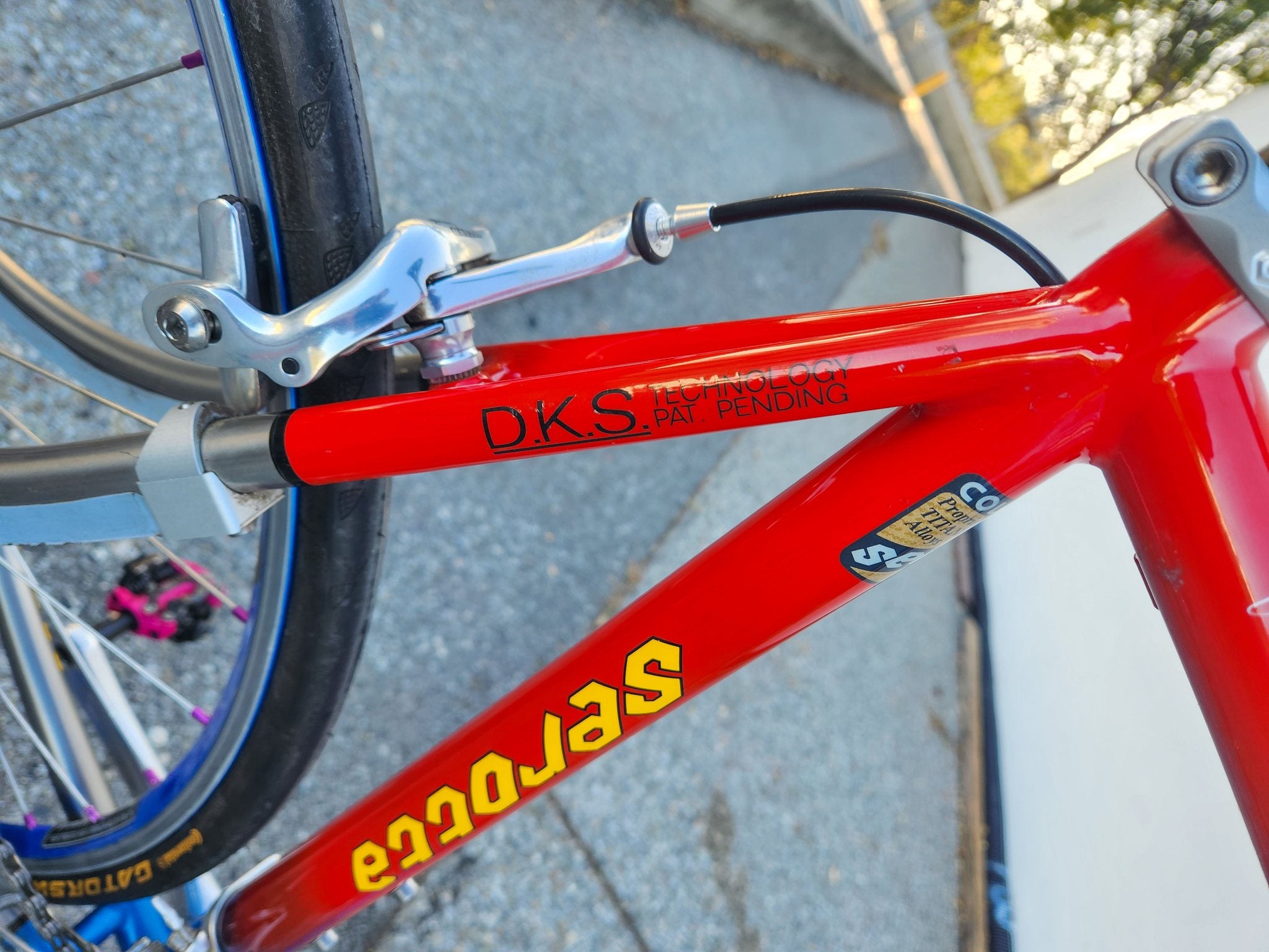 Serotta Hors Categorie Titanium Road Bike with DKS seatstays and ...