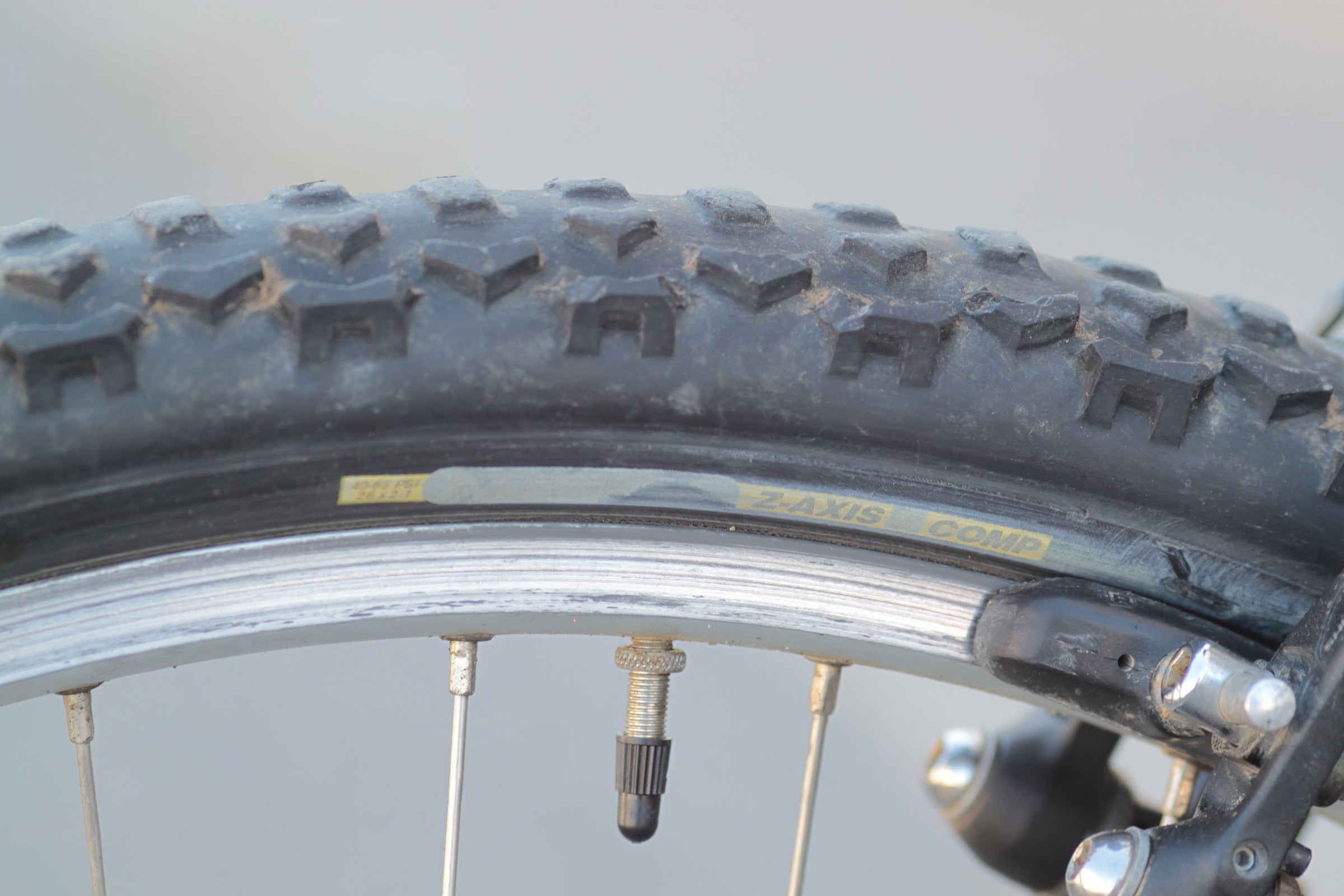 Trek Composite 8700 Vintage Carbon Hardtail MTB with Trek DS2 Fork ...