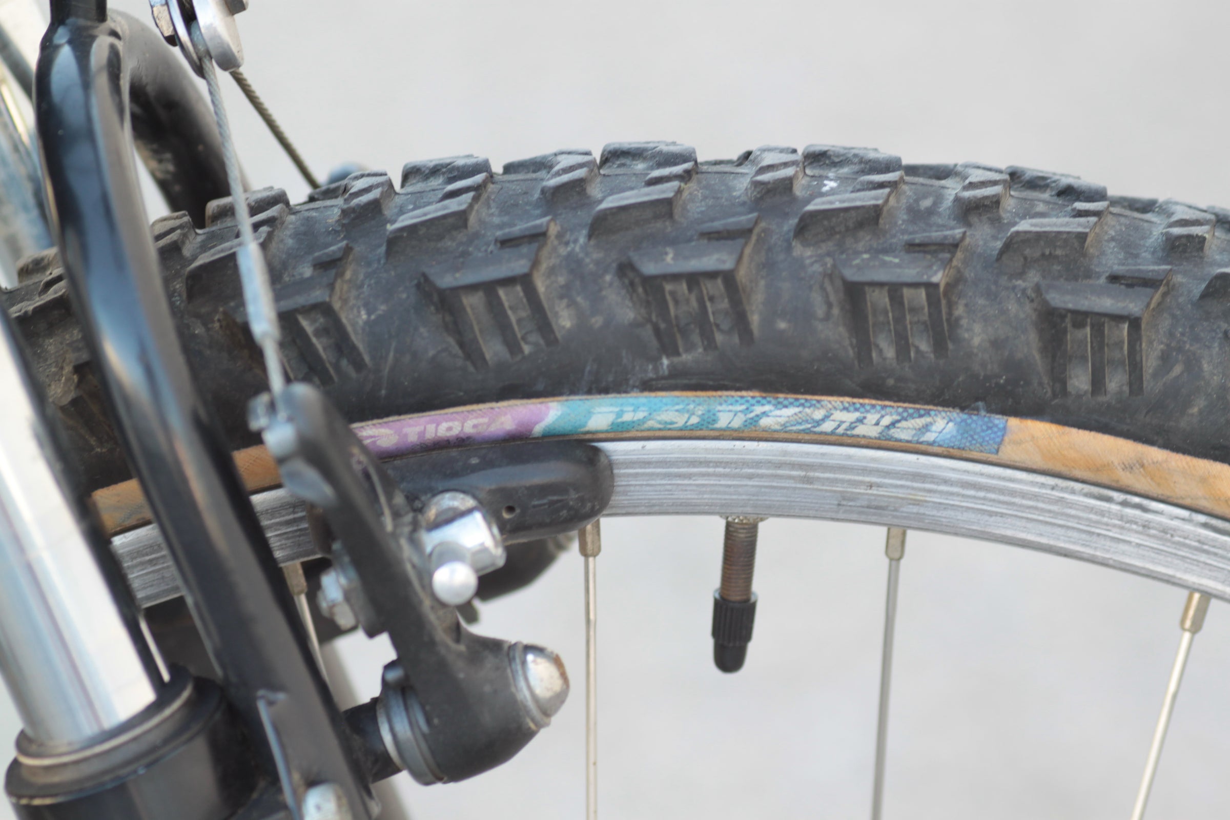 Trek Composite 8700 Vintage Carbon Hardtail MTB with Trek DS2 Fork ...