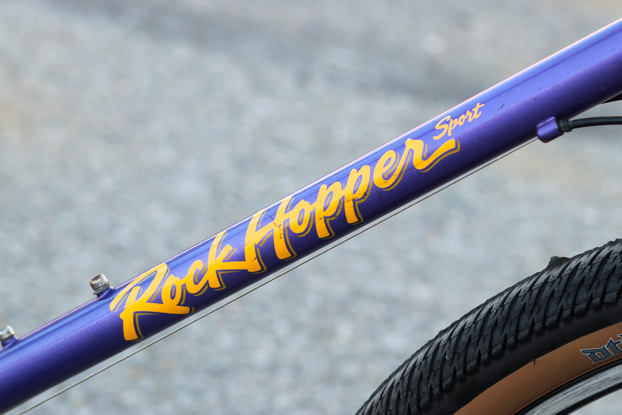 Specialized RockHopper Sport Vintage Mountain Bike with New Maxxis ...