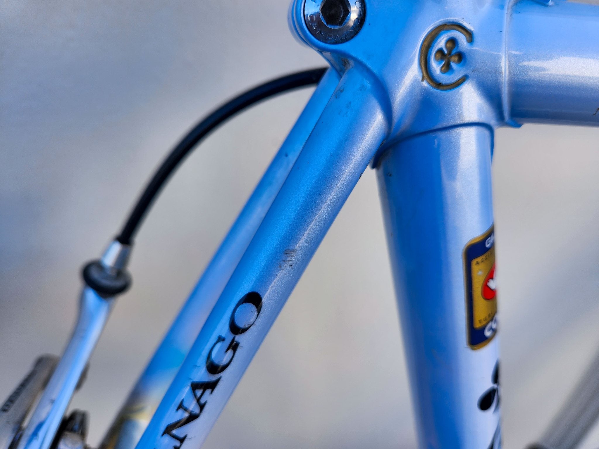 Colnago Master X Light Mapei Lugged Steel Road Bike with Campagnolo ...